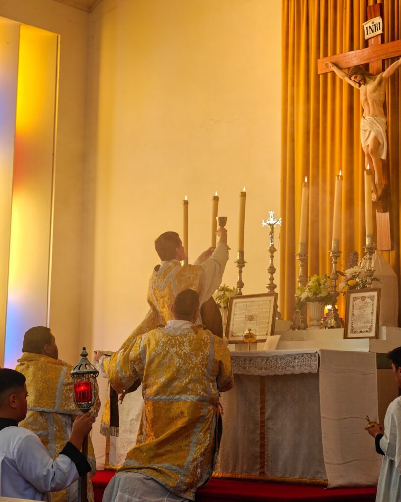 Mass Times – Latin Mass Auckland